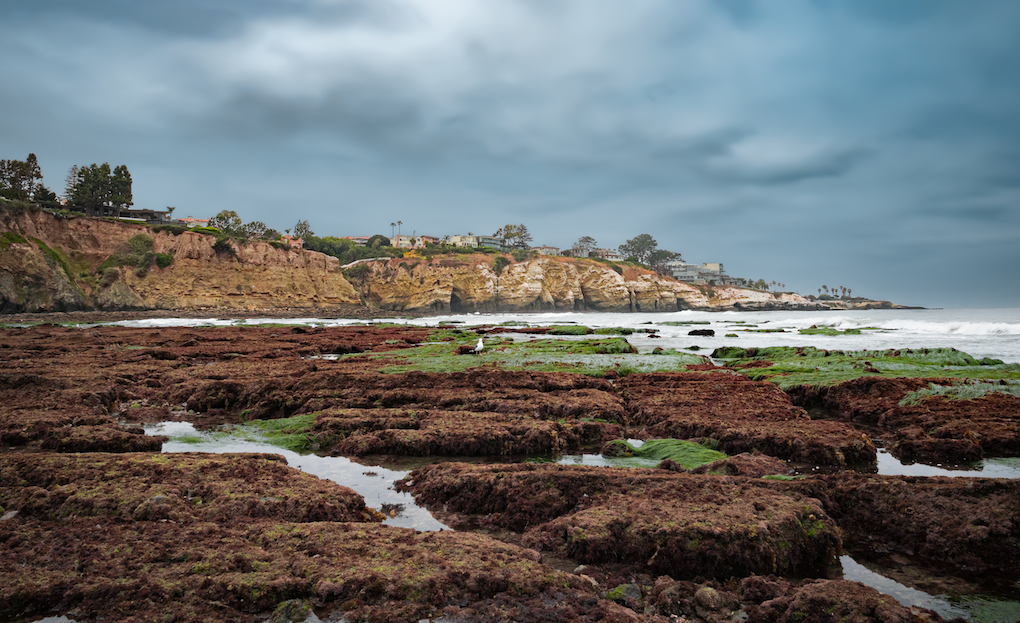 Coastal Access in La Jolla