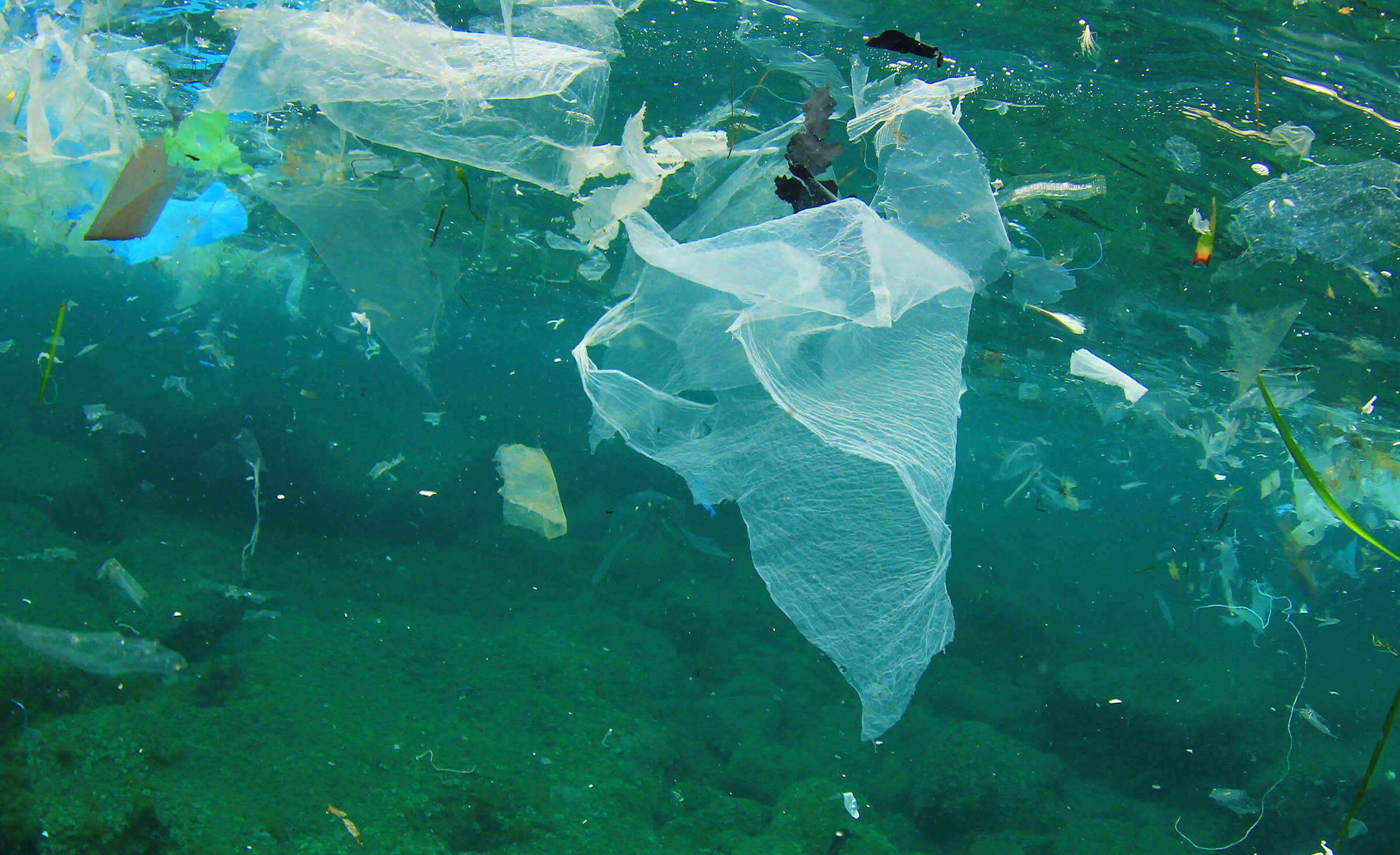 Rise Above Plastics – Surfrider Foundation